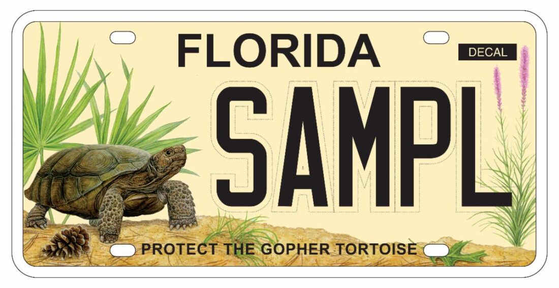 SCCF: Support new license plate to protect gopher tortoises - SANIBEL ...